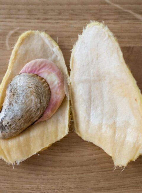 Can You Eat Mango Peel?