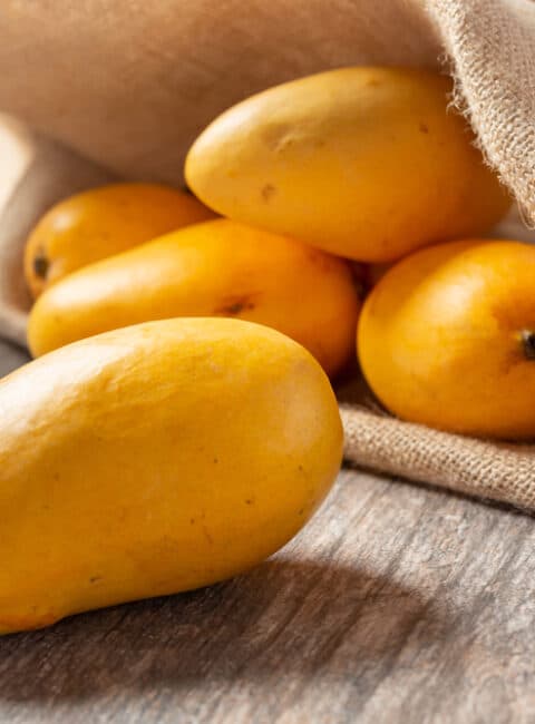 11 Mango Types You Must Try – Flavor Guide Inside