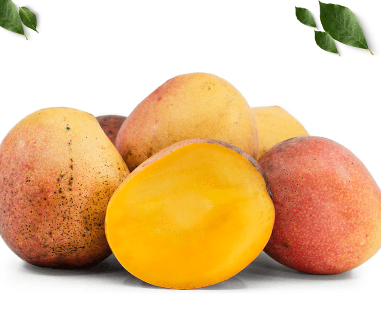11 Mango Types You Must Try – Flavor Guide Inside