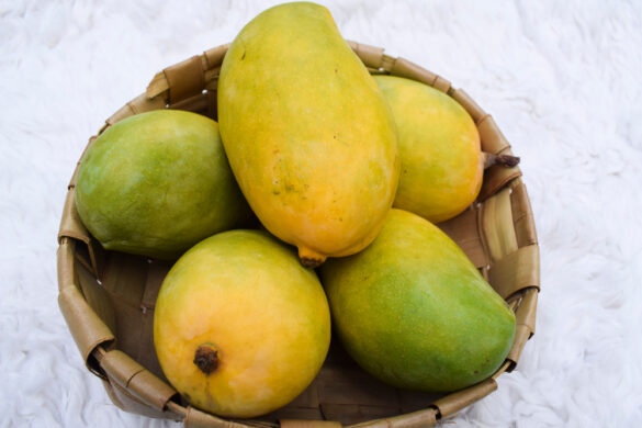 7 Best Indian Mango Varieties Discussed