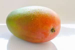 11 Mango Types You Must Try – Flavor Guide Inside