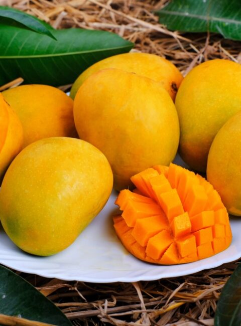 7 Best Indian Mango Varieties Discussed