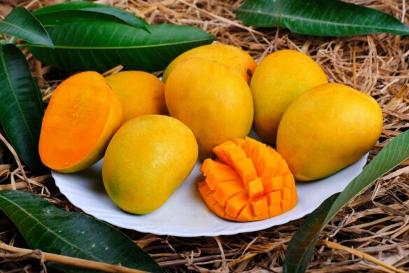 7 Best Indian Mango Varieties Discussed