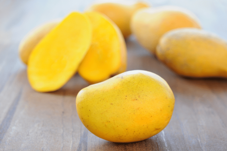 11 Mango Types You Must Try – Flavor Guide Inside