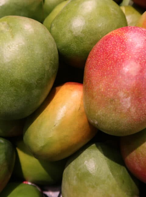 7 Best Indian Mango Varieties Discussed