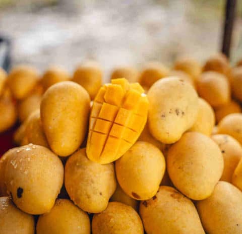 Mexican Mango: Sweetness and Benefits You Need to Know