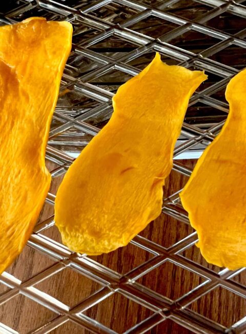 11 Mango Types You Must Try – Flavor Guide Inside