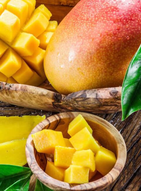 Guide to Mango Fertilization