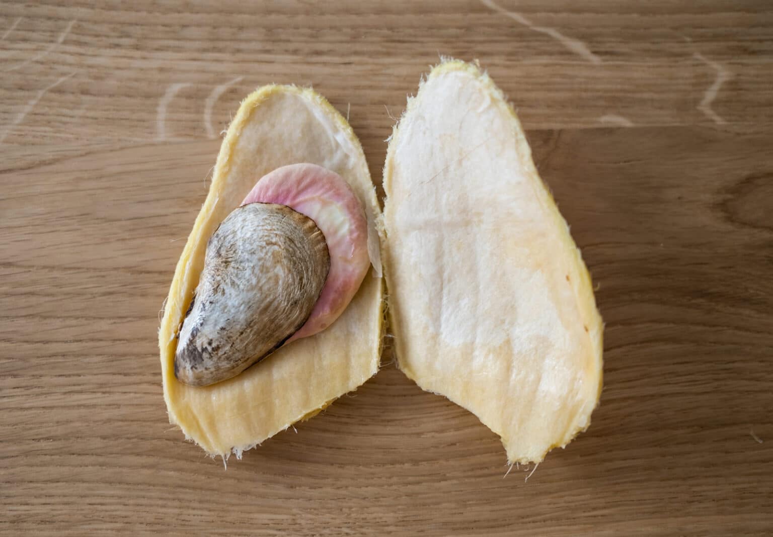 Mango Seed Benefits – Discover the Power of Mango Seeds